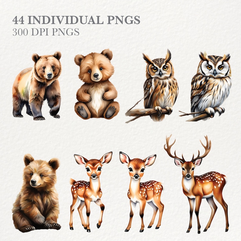 Woodland Animals Clipart Bundle, Sublimation Png, Forest Animal Clip ...
