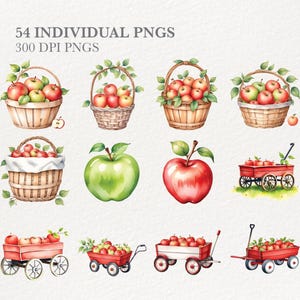 Apple Picking Clipart , Commercial Use , Fruit Clipart, Fruits Clip Art ...