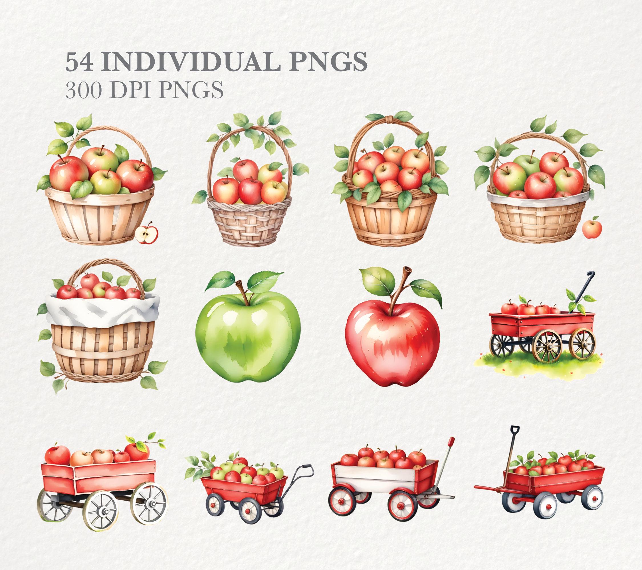 Apple Picking Clipart , Commercial Use , Fruit Clipart, Fruits Clip Art ...