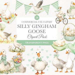 Silly Goose Clipart, Adorable Gingham Pngs for Baby Shower Decor ...