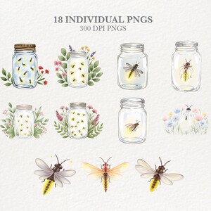 Lightning Bug Clipart, Watercolor Firefly Art, Cute Insect PNG, Digital ...