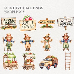 Apple Picking Clipart , Commercial Use , Fruit Clipart, Fruits Clip Art ...