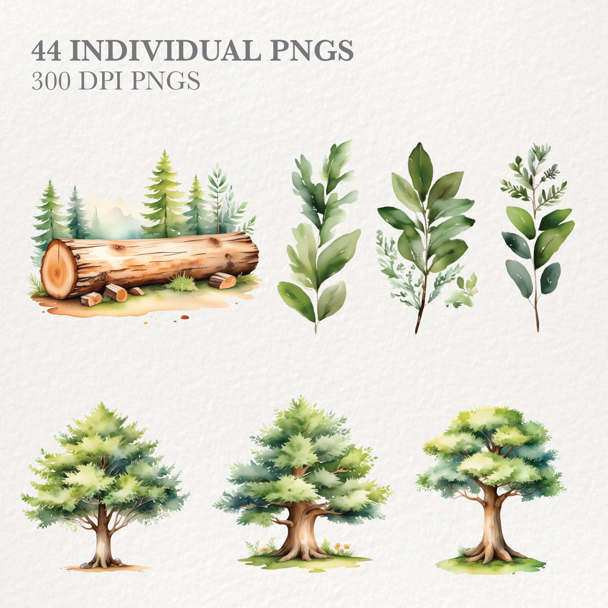 Woodland Animals Clipart Bundle, Sublimation Png, Forest Animal Clip ...
