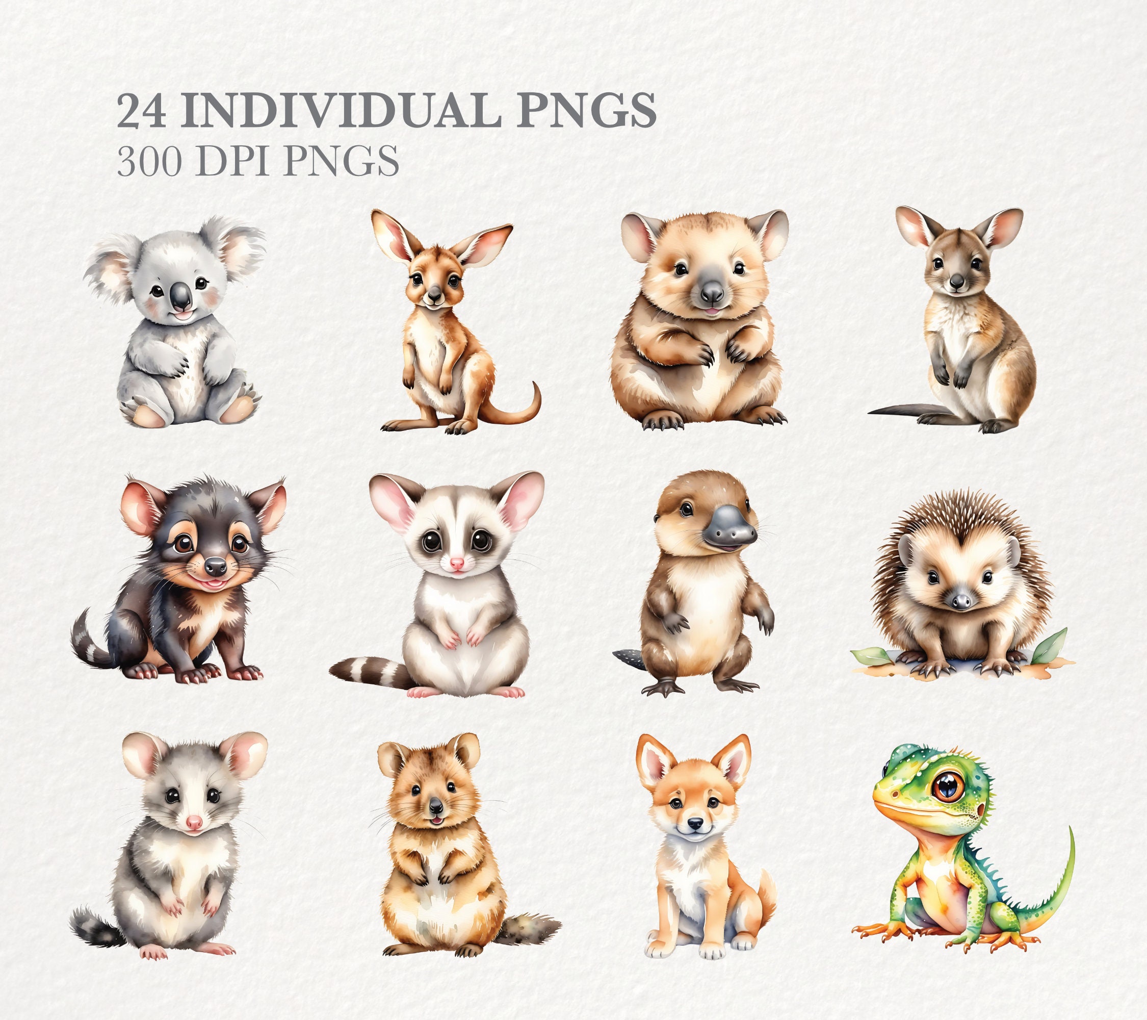 Australian Animals Clipart, Koala Clipart, Aussie Animals, Baby Shower ...