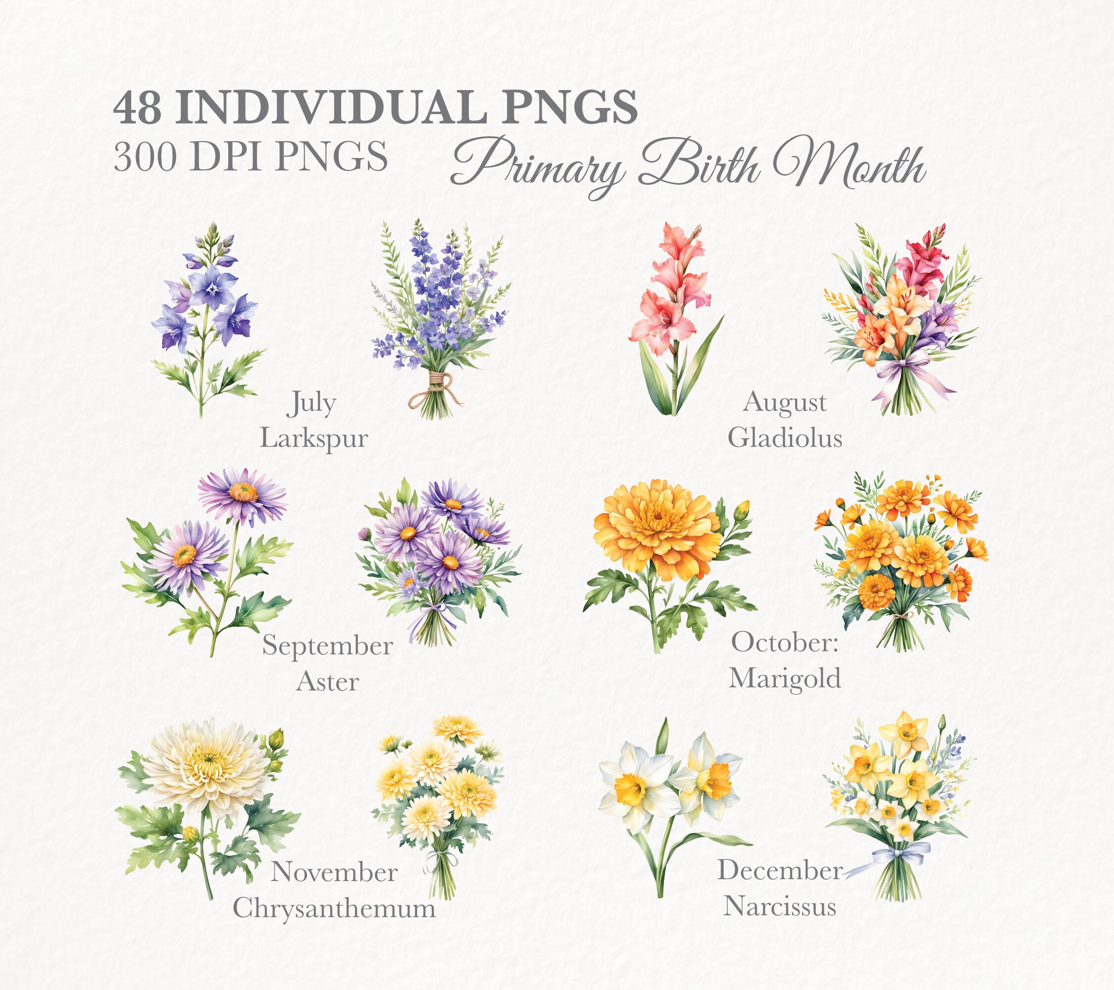 Watercolor Birth Month Flower Clipart Png, Floral Png, Birth Month ...