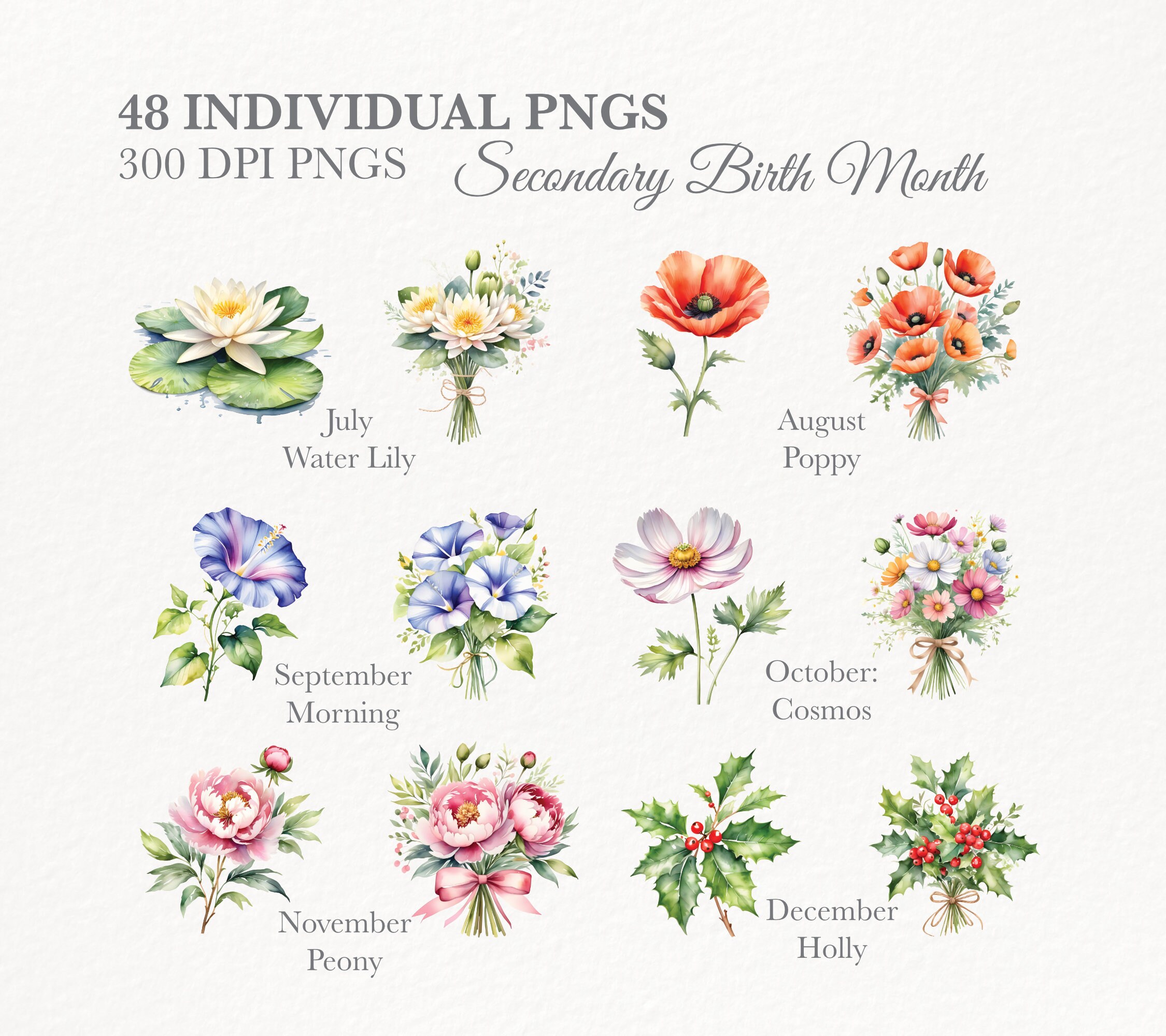 Watercolor Birth Month Flower Clipart Png, Floral Png, Birth Month ...