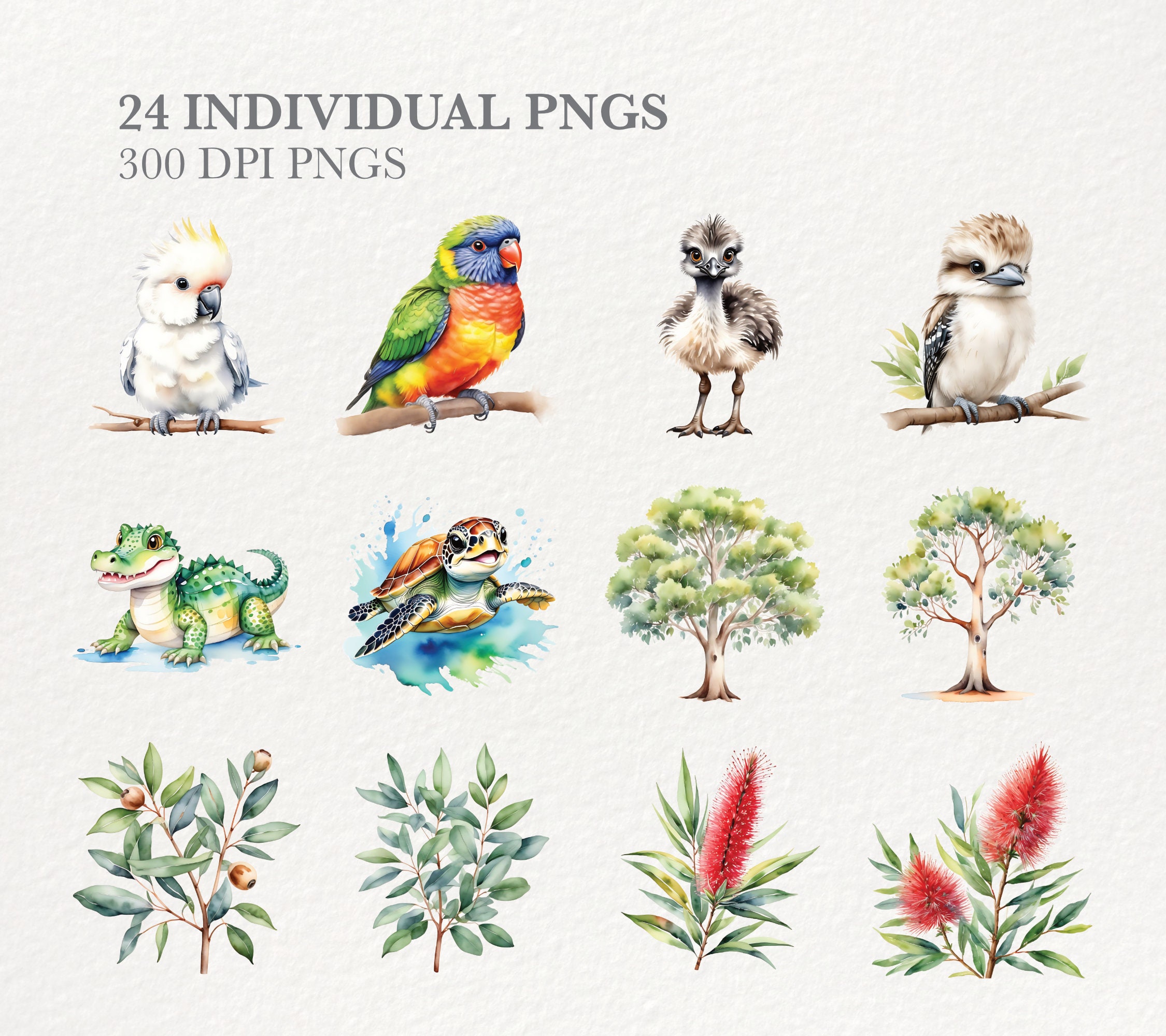 Australian Animals Clipart, Koala Clipart, Aussie Animals, Baby Shower ...