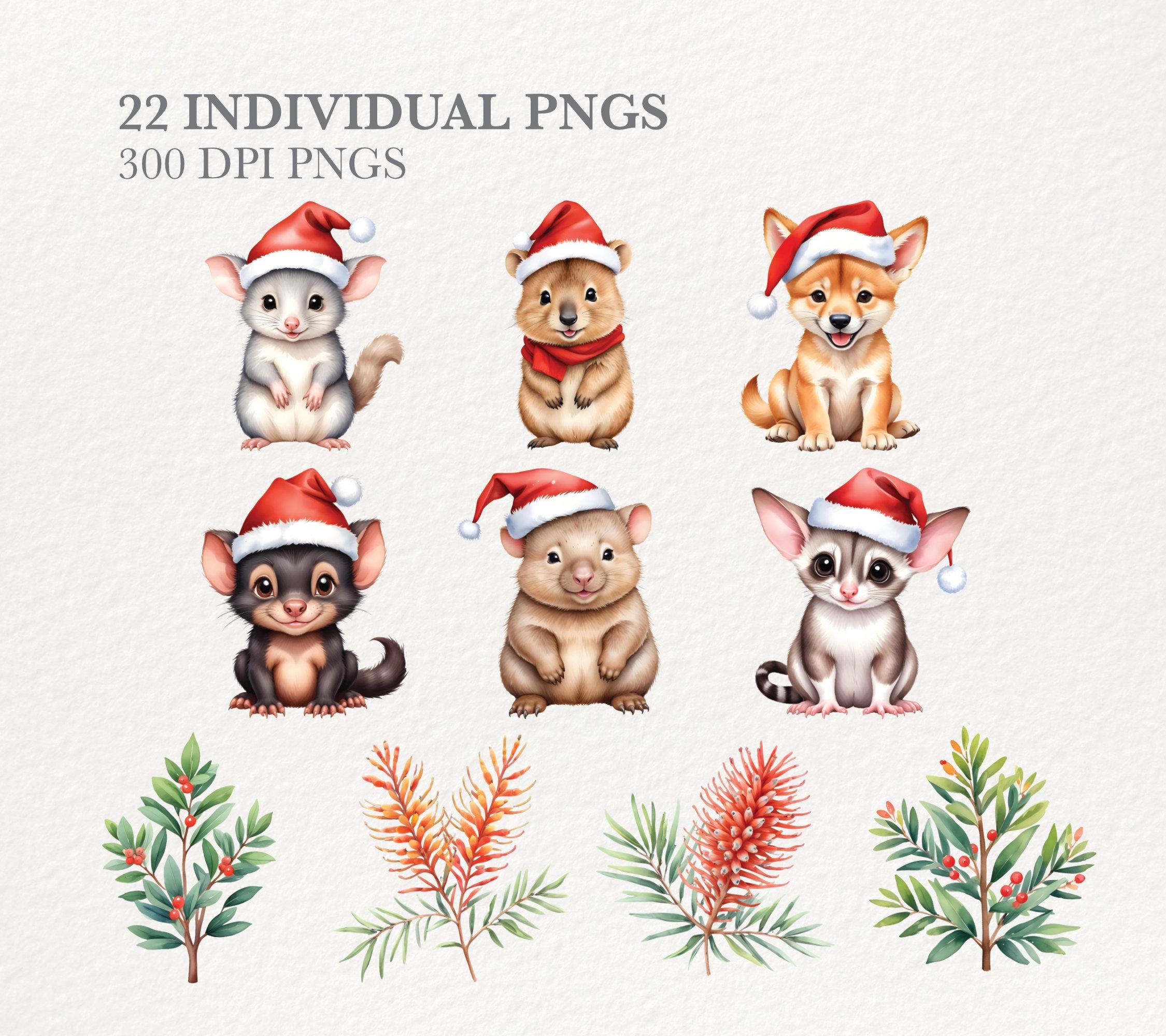 Australian Christmas Clipart, Commercial Use, Watercolor Clipart ...