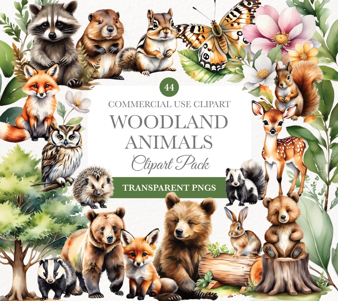 Woodland Animals Clipart Bundle, Sublimation Png, Forest Animal Clip ...