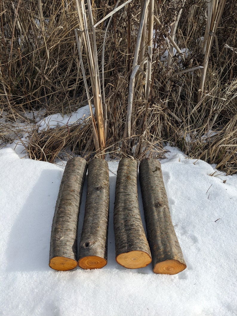Alder Sticks & Mini Logs - Etsy