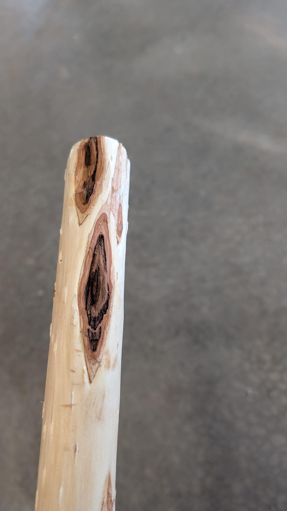 Pealed Diamond Willow Sticks - Etsy