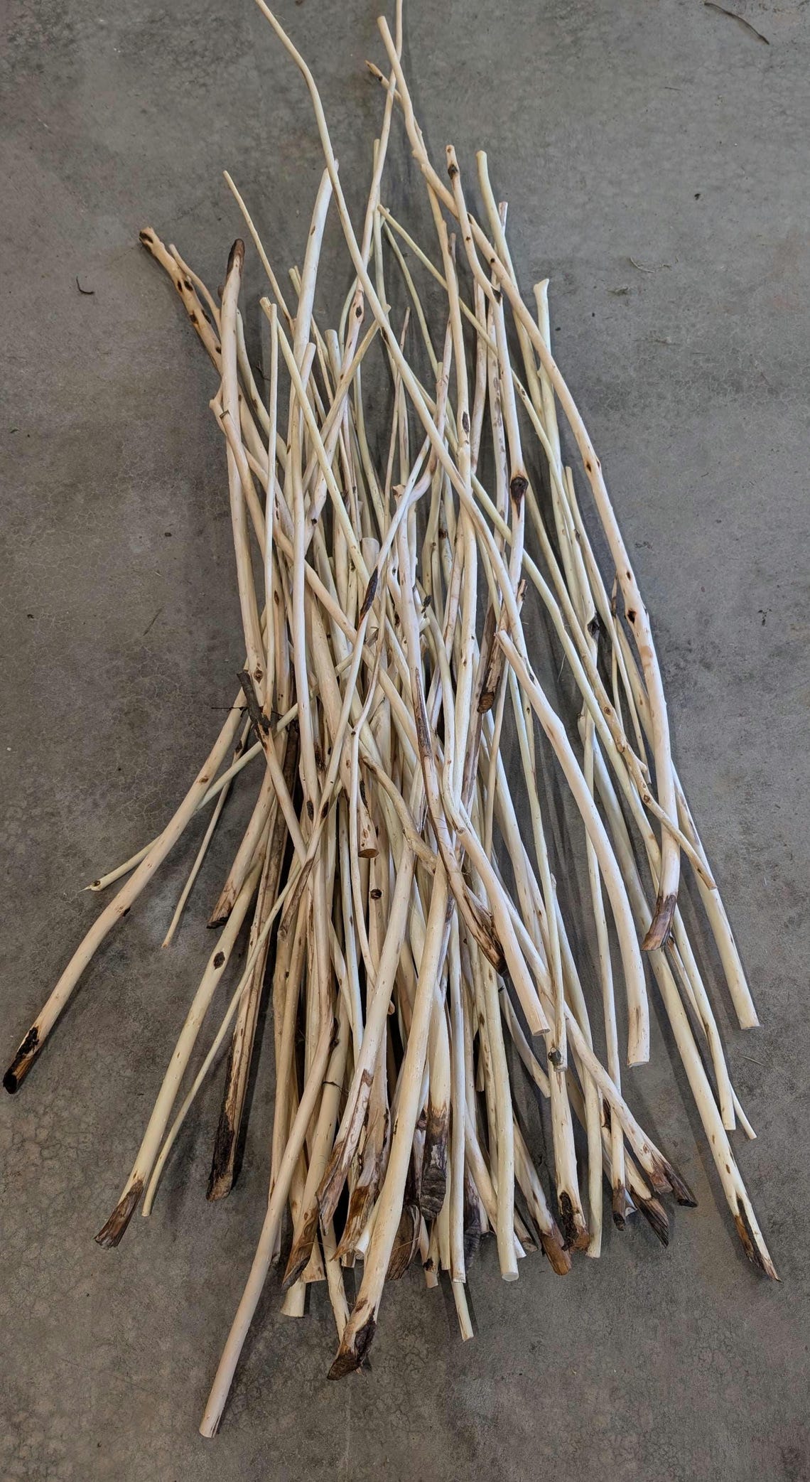 Pealed Diamond Willow Sticks - Etsy