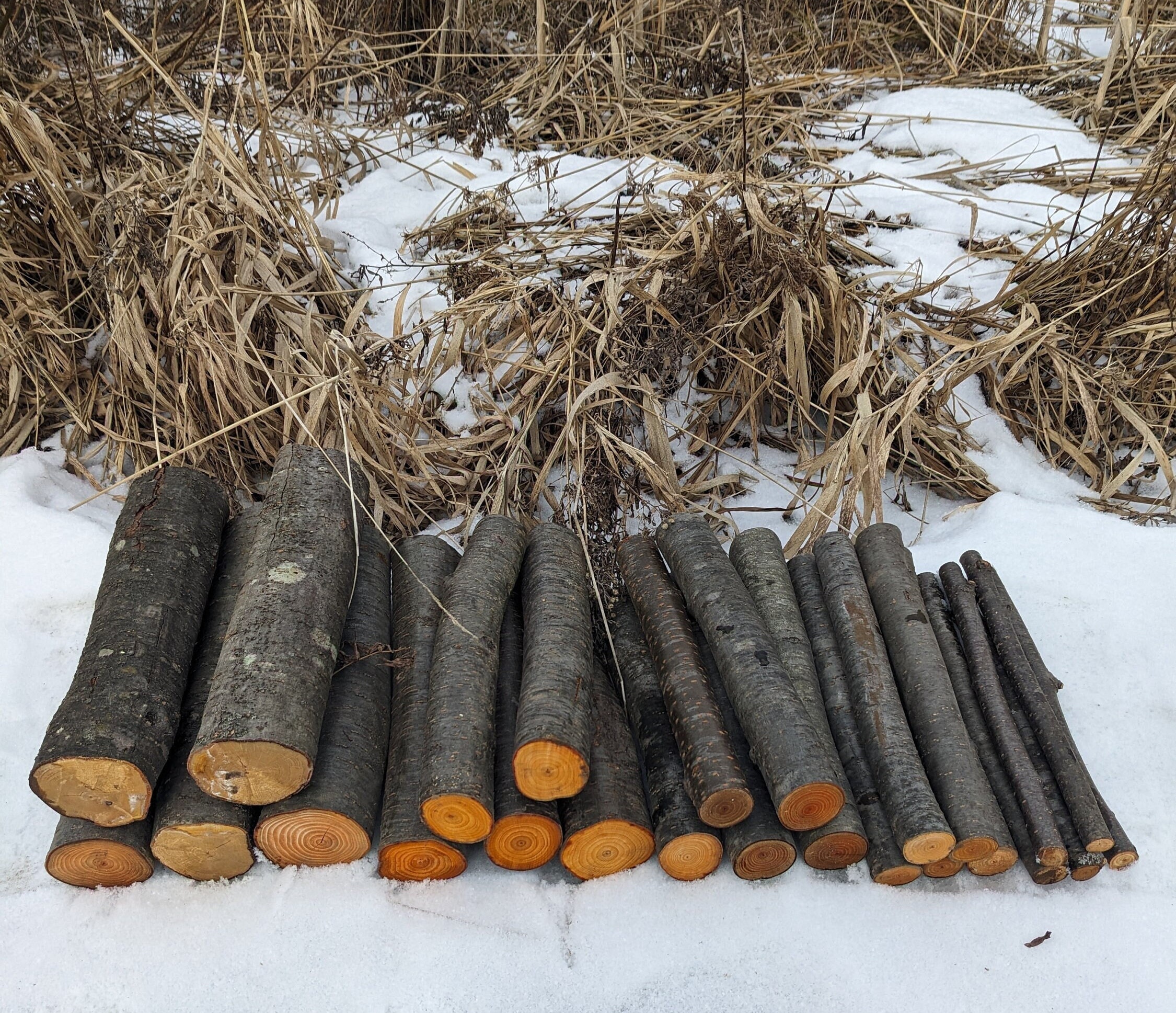 Alder Sticks & Mini Logs - Etsy