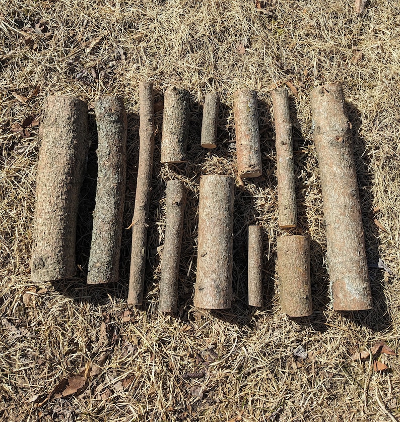 Spruce Stick Offcuts - Etsy