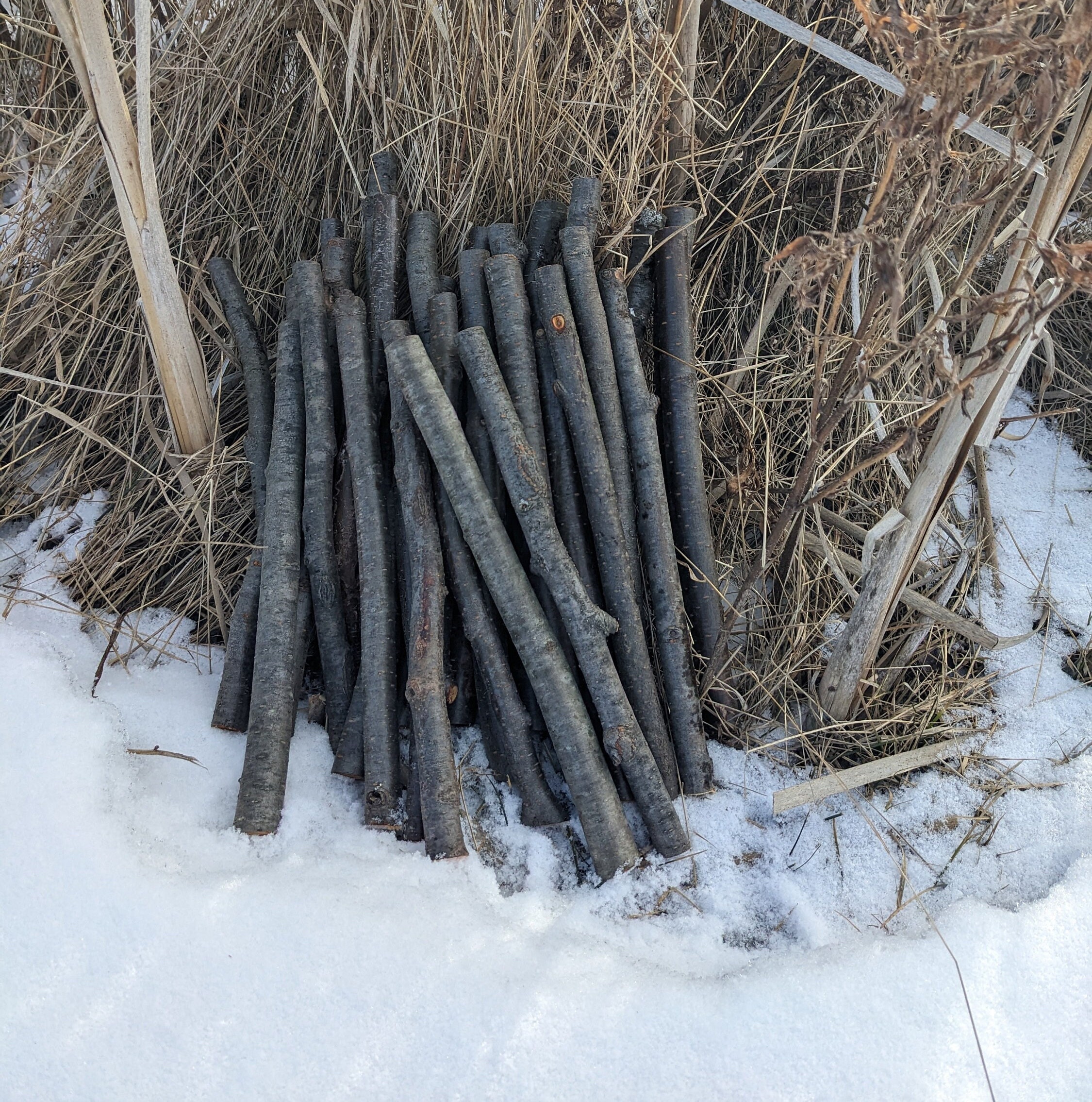Alder Sticks & Mini Logs - Etsy