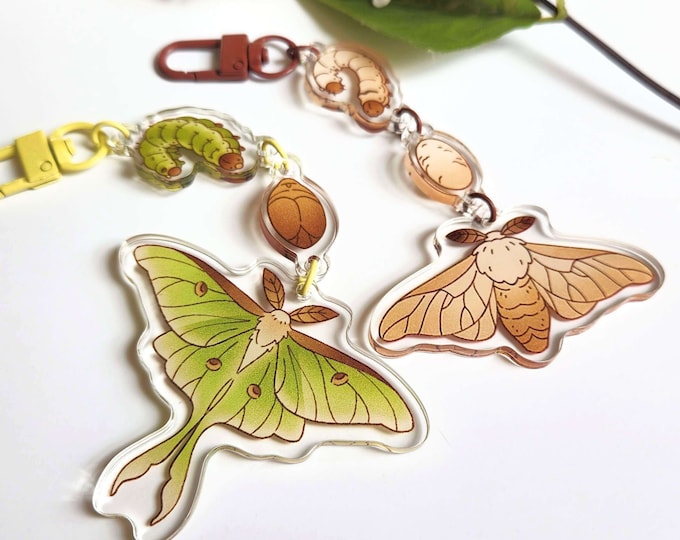 Luna Moth Silk Moth Life Cycle Acrylic Dangle Charms - Etsy