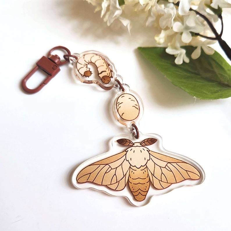 Luna Moth Silk Moth Life Cycle Acrylic Dangle Charms | BACK IN STOCK - Etsy