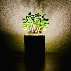 LED Plant Spotlight Ribbed Planter | Illuminated and Dimmable Display ...