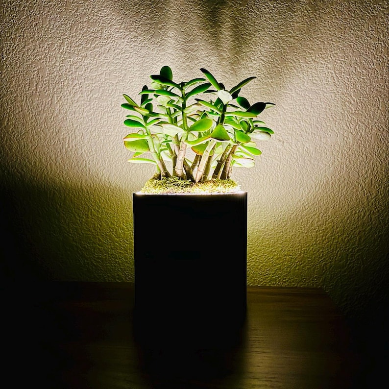 LED Plant Spotlight Ribbed Planter | Illuminated and Dimmable Display ...
