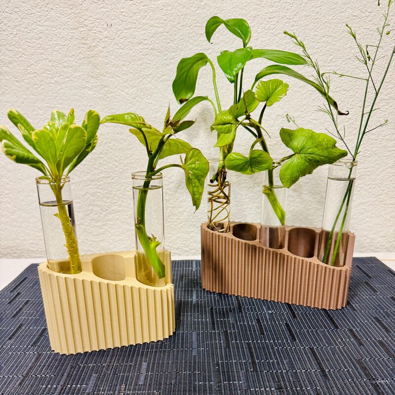 Test Tube Planter - Etsy