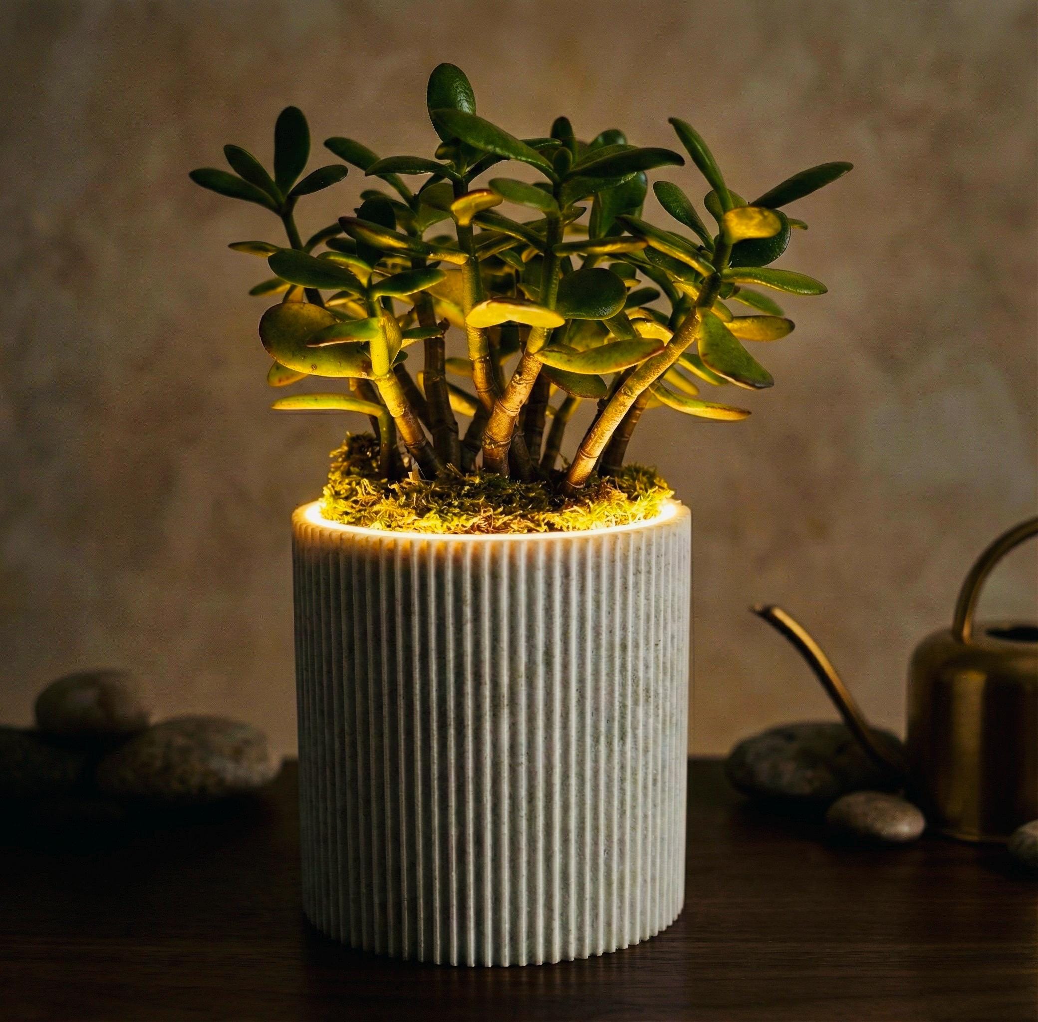 LED Plant Spotlight Ribbed Planter | Illuminated and Dimmable Display ...
