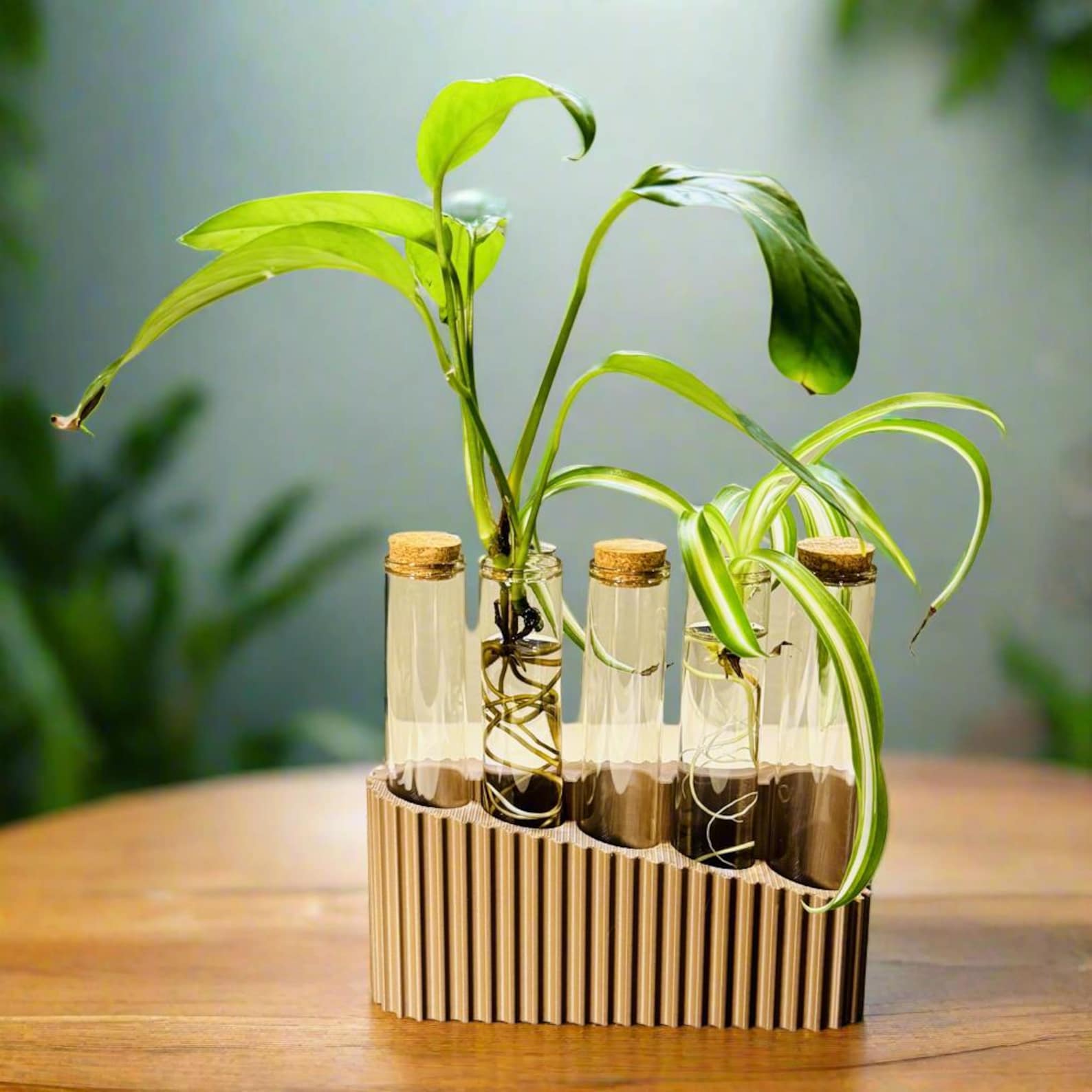 Plant Propagation Station – Modern 3D Printed Design With Glass Test ...