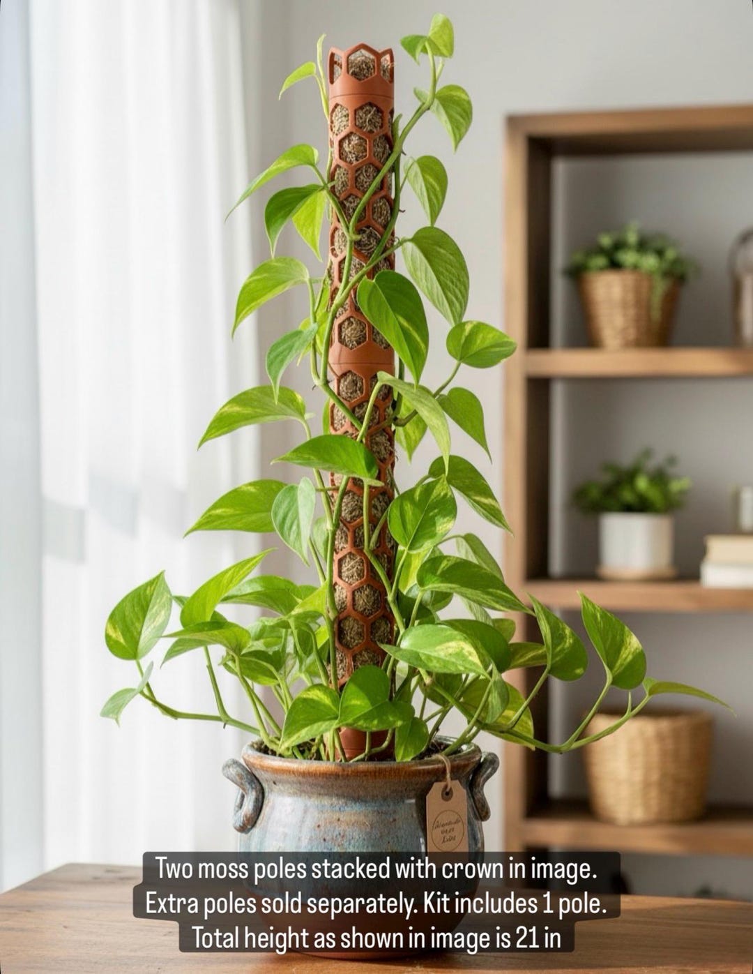 Large Moss Pole Kit - Modular & Eco-friendly - Expandable Plant Support ...