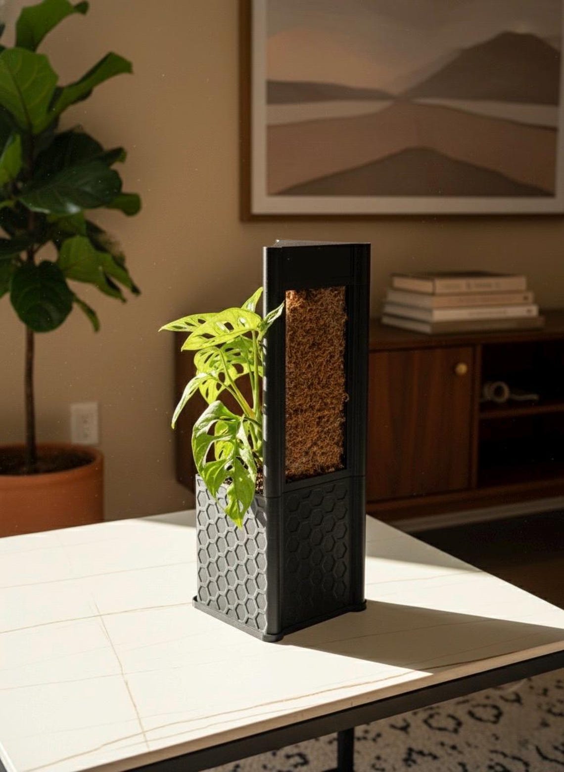 Architectural Honeycomb Moss Pole System | Modular Matte Black Aroid ...