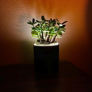 LED Plant Spotlight Ribbed Planter | Illuminated and Dimmable Display ...