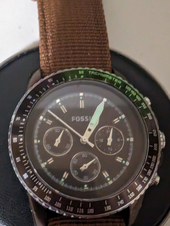 Vintage and rare fossil - Gem