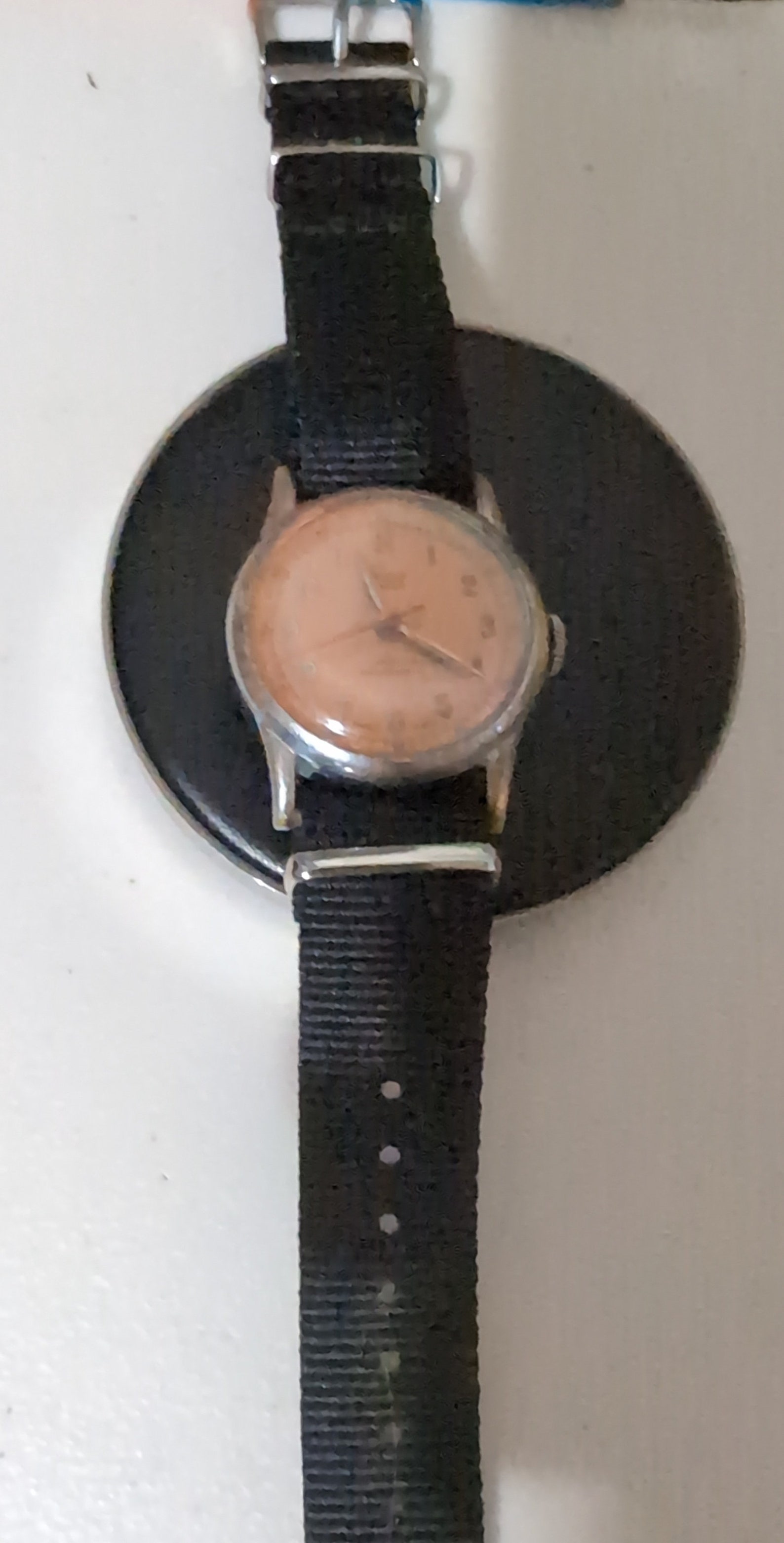 Basis Sport Swiss Made Mechanical Watch With New NATO Band. Watch Was ...