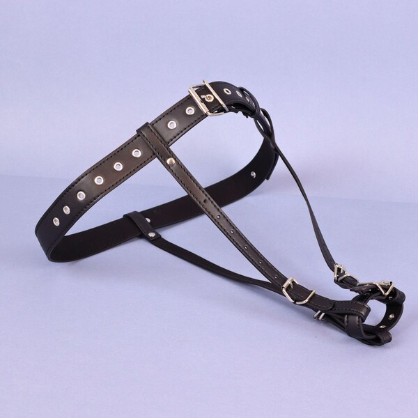 Female Chastity Belt - Etsy