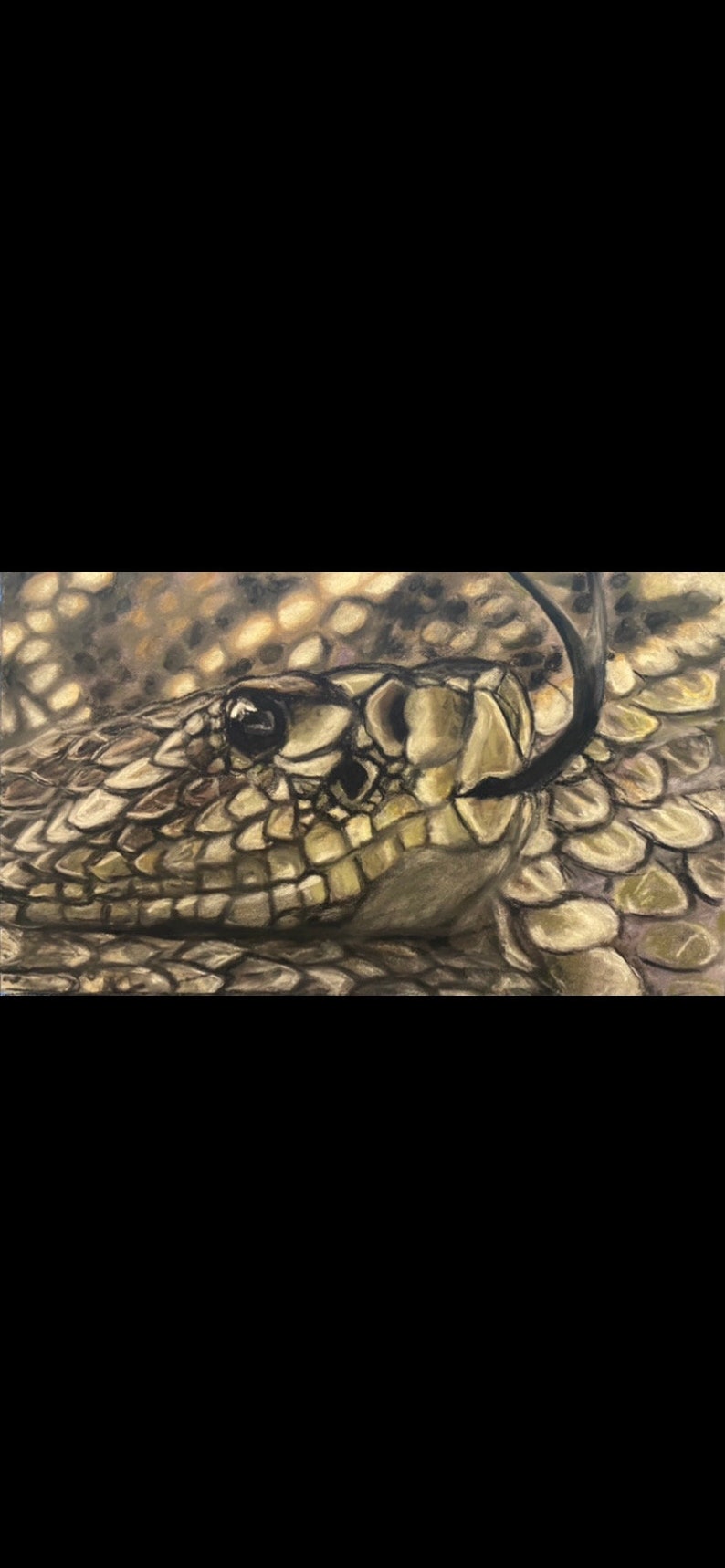 Rattlesnake Pastel Original Drawing - Etsy