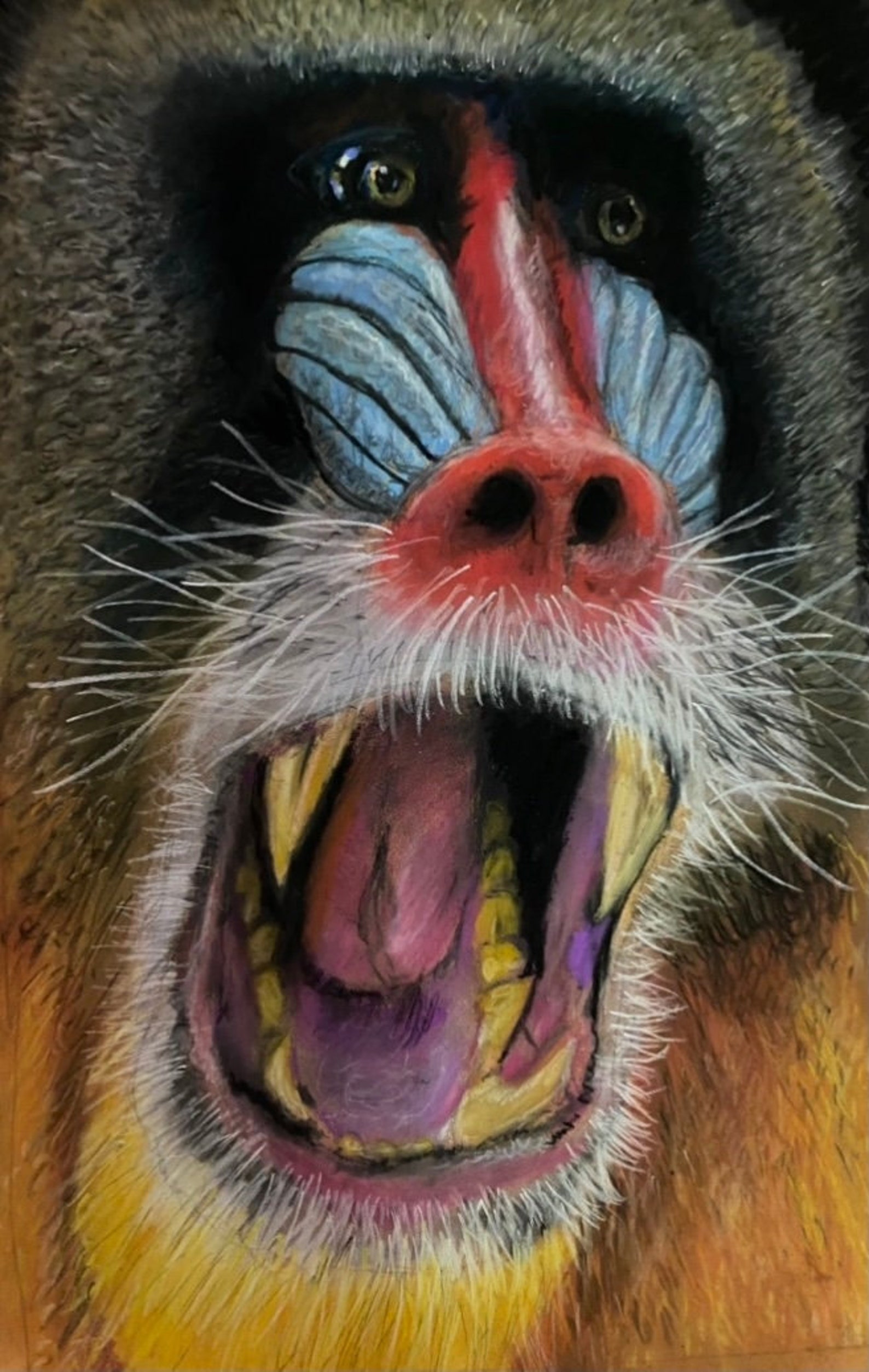 Pastel Drawing of a Mandrill - Etsy