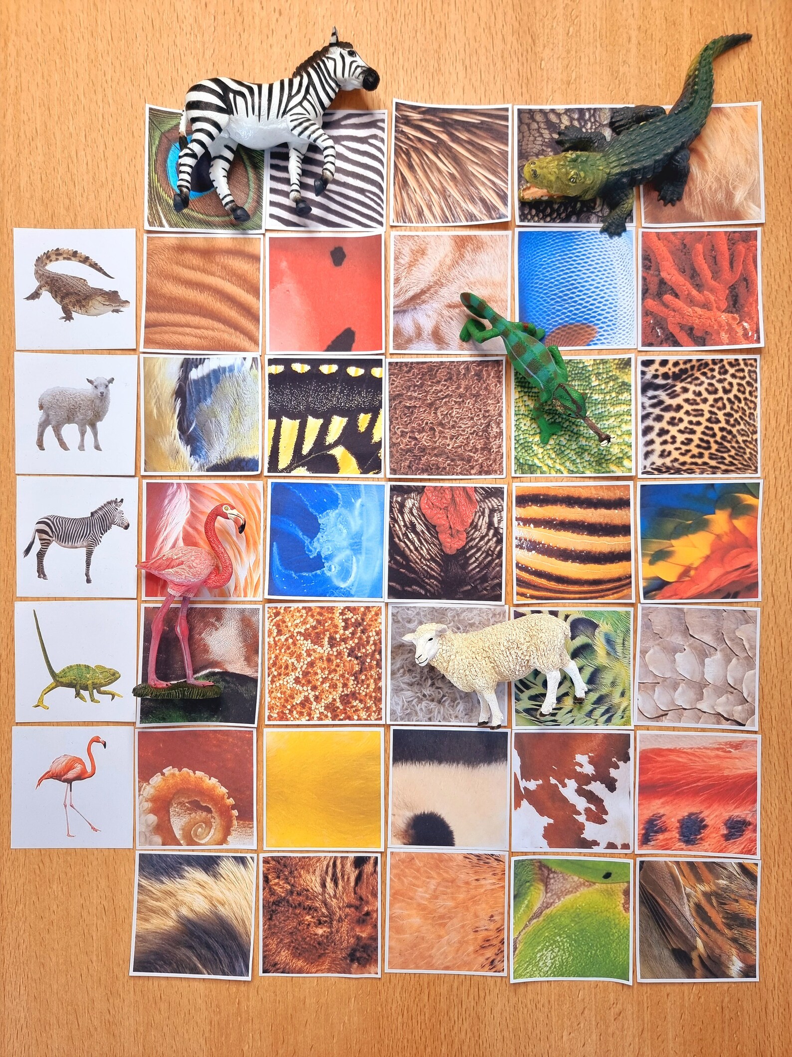 Montessori Animal Skin Matching Game: Animal Fur, Feathers, Scales, and ...