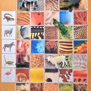 Montessori Animal Skin Matching Game: Animal Fur, Feathers, Scales, and ...