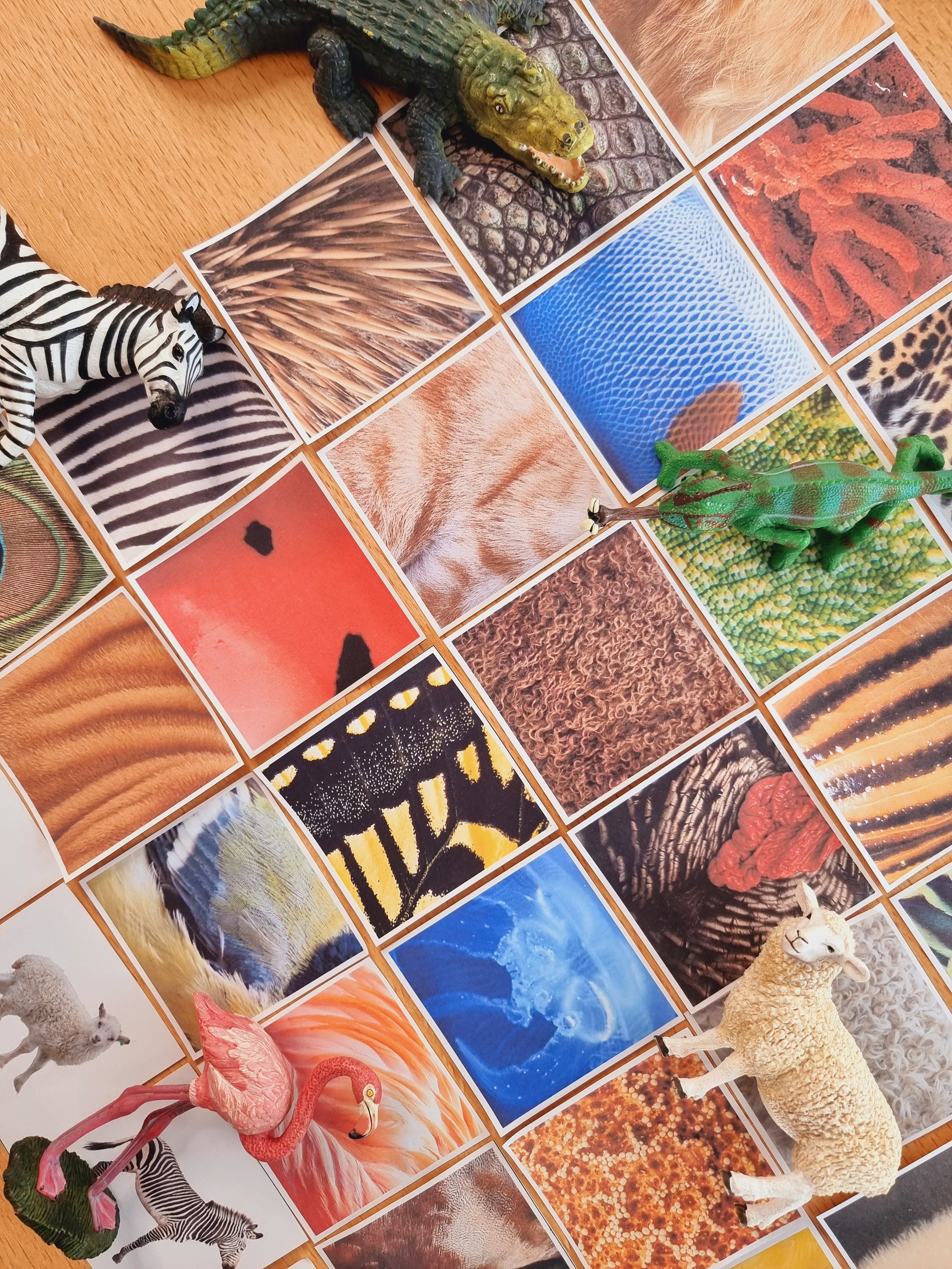 Montessori Animal Skin Matching Game: Animal Fur, Feathers, Scales, and ...