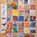 Montessori Animal Skin Matching Game: Animal Fur, Feathers, Scales, and ...