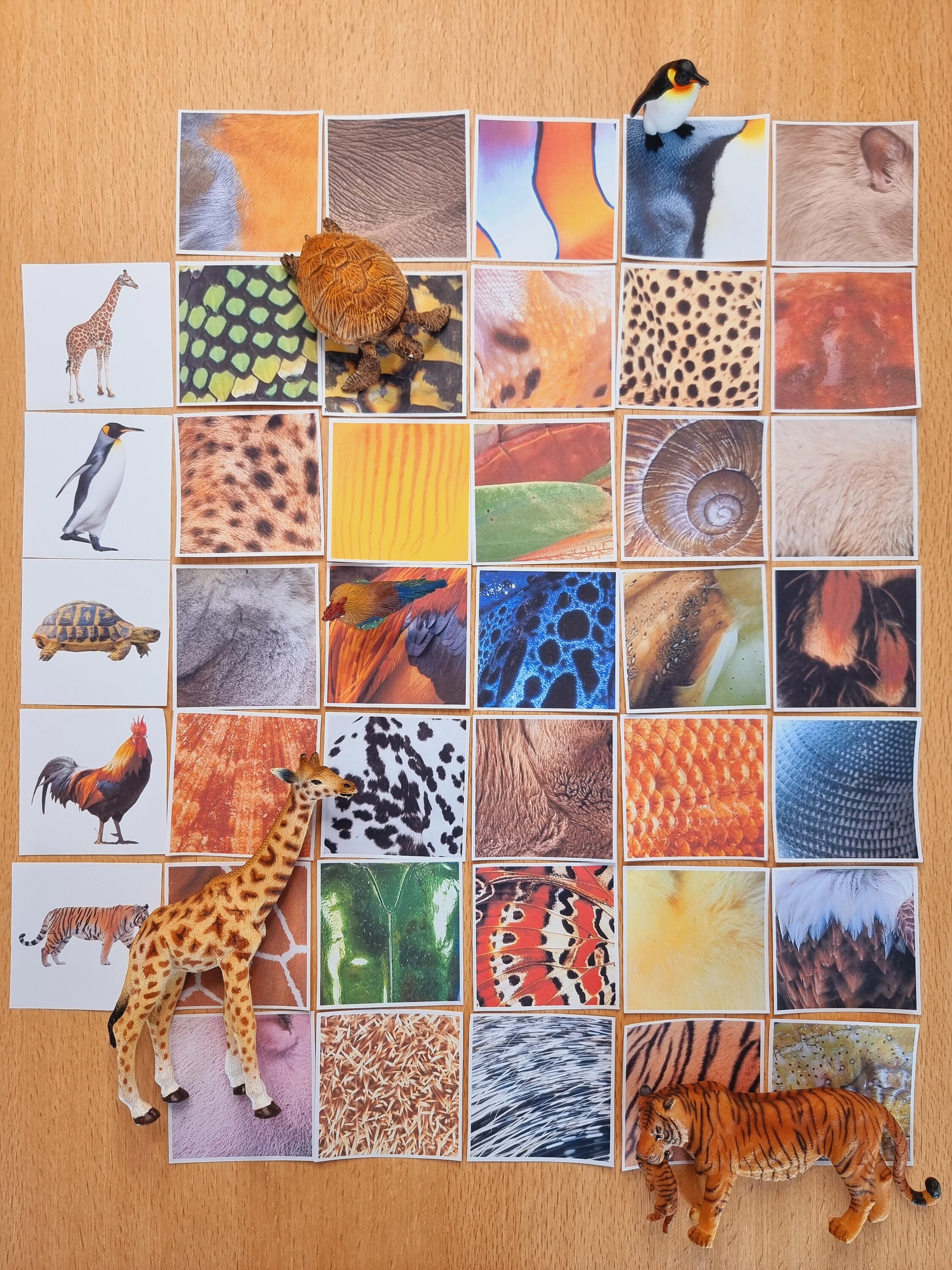Montessori Animal Skin Matching Game: Animal Fur, Feathers, Scales, and ...