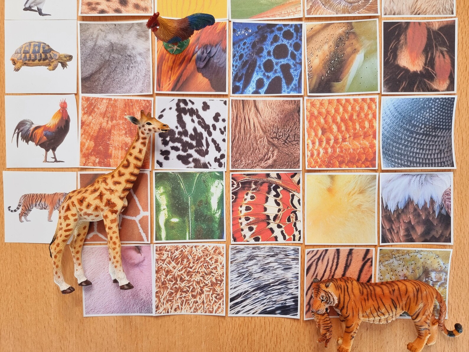 Montessori Animal Skin Matching Game: Animal Fur, Feathers, Scales, and ...