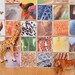 Montessori Animal Skin Matching Game: Animal Fur, Feathers, Scales, and ...