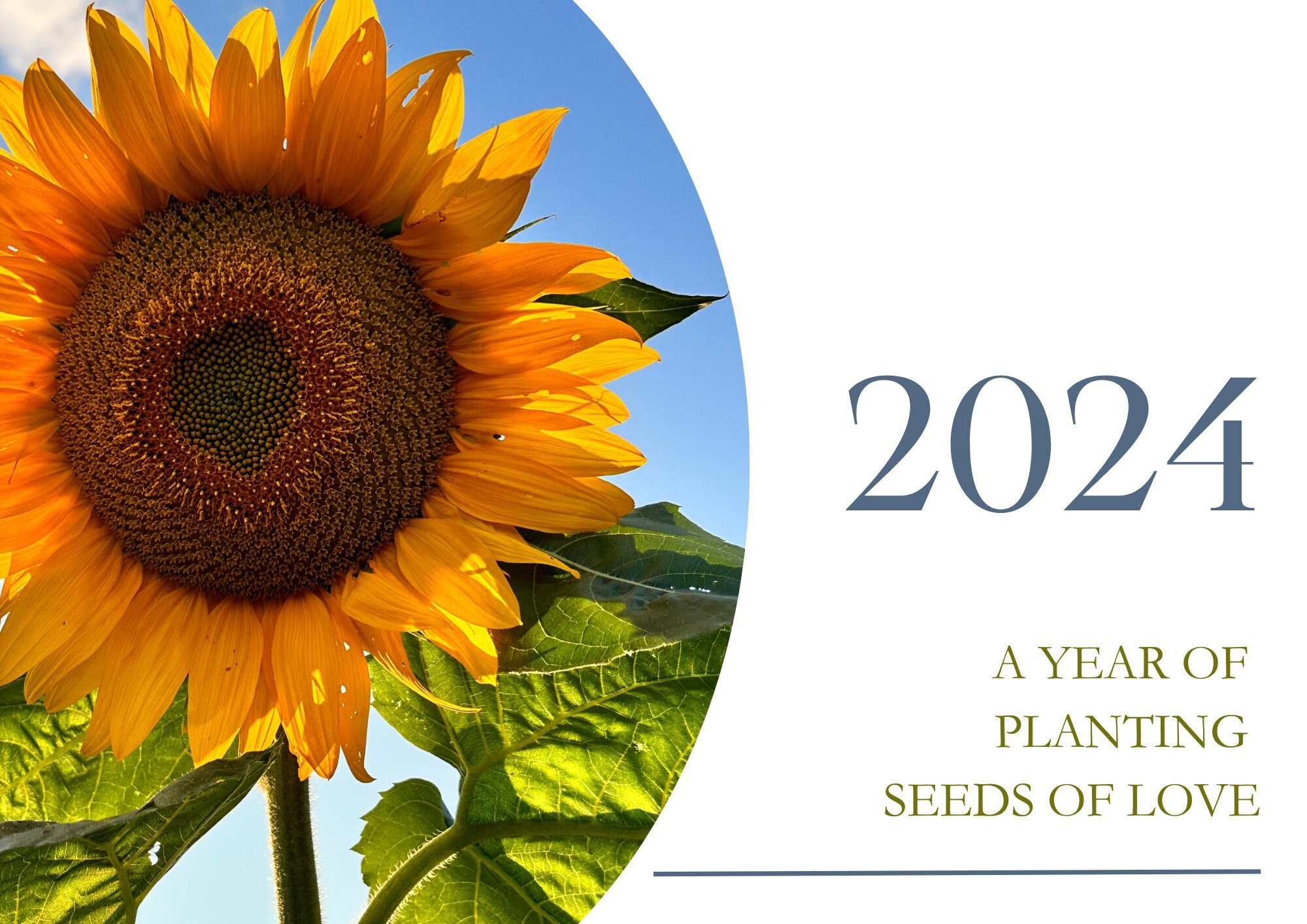 2024 Calendar A Year of Planting Seeds of Love - Etsy