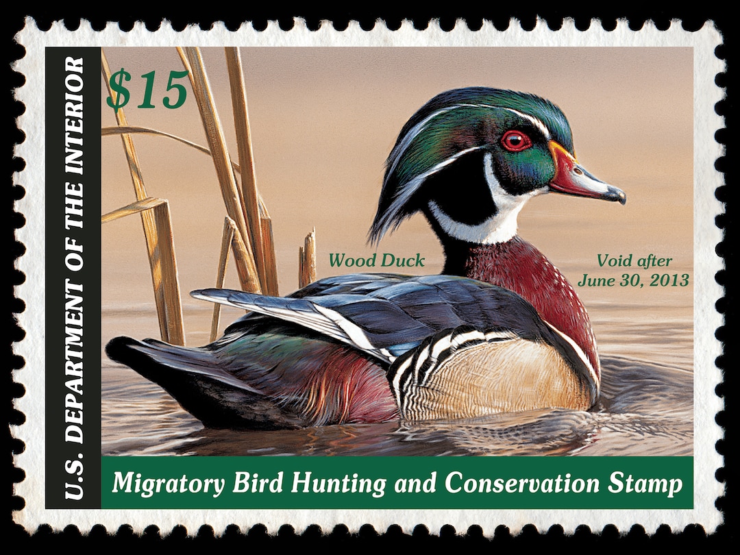 2012 - 2013 Duck Stamp - Metal Sign - Etsy