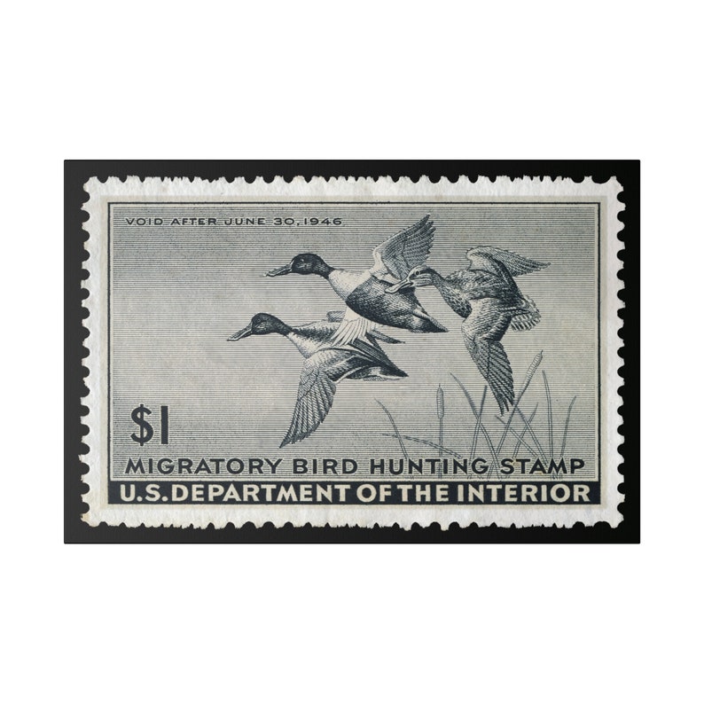 Official 1945 1946 Federal Duck Stamp Canvas Sign - Etsy