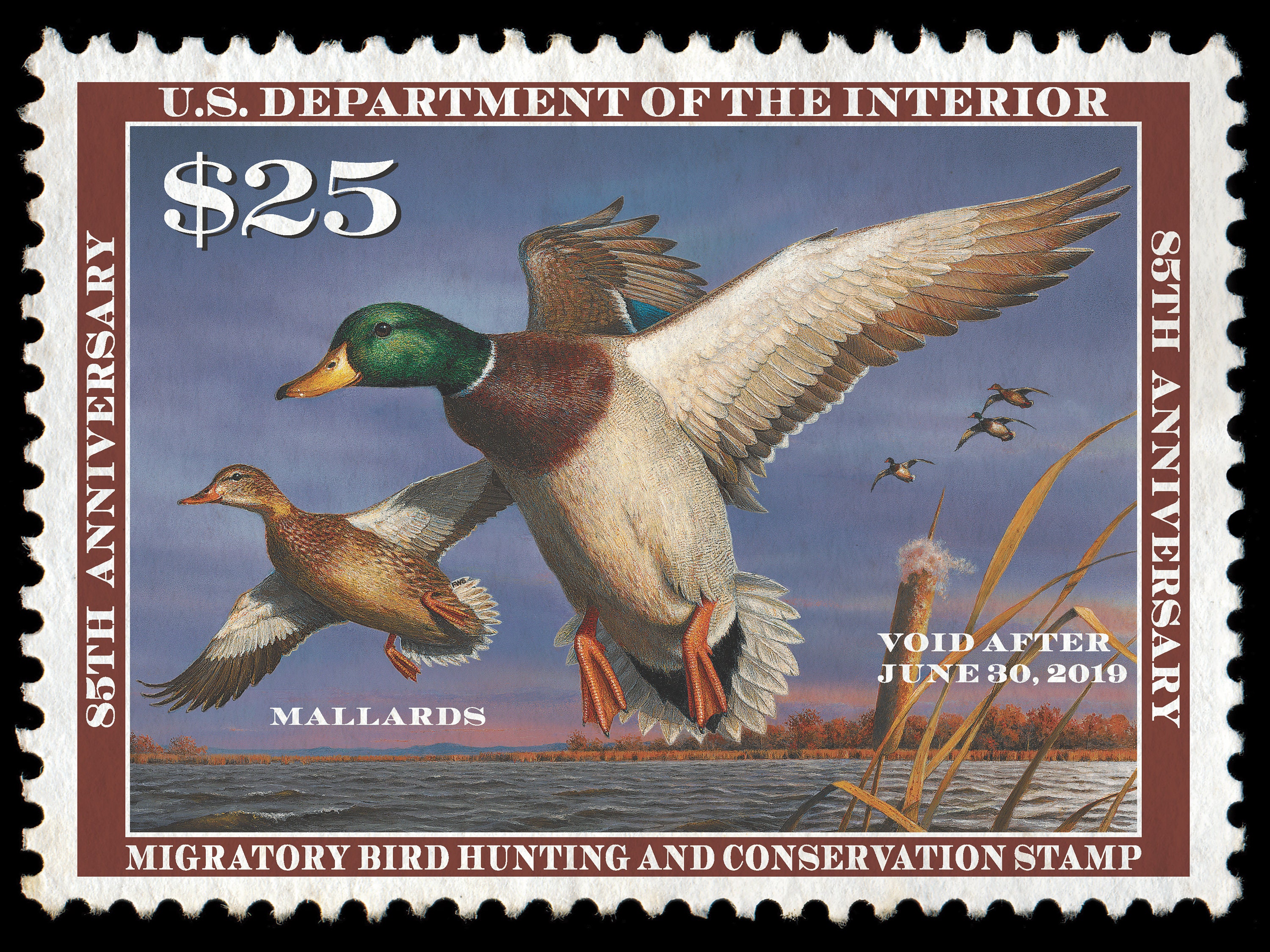 2018 2019 Duck Stamp Metal Sign - Etsy