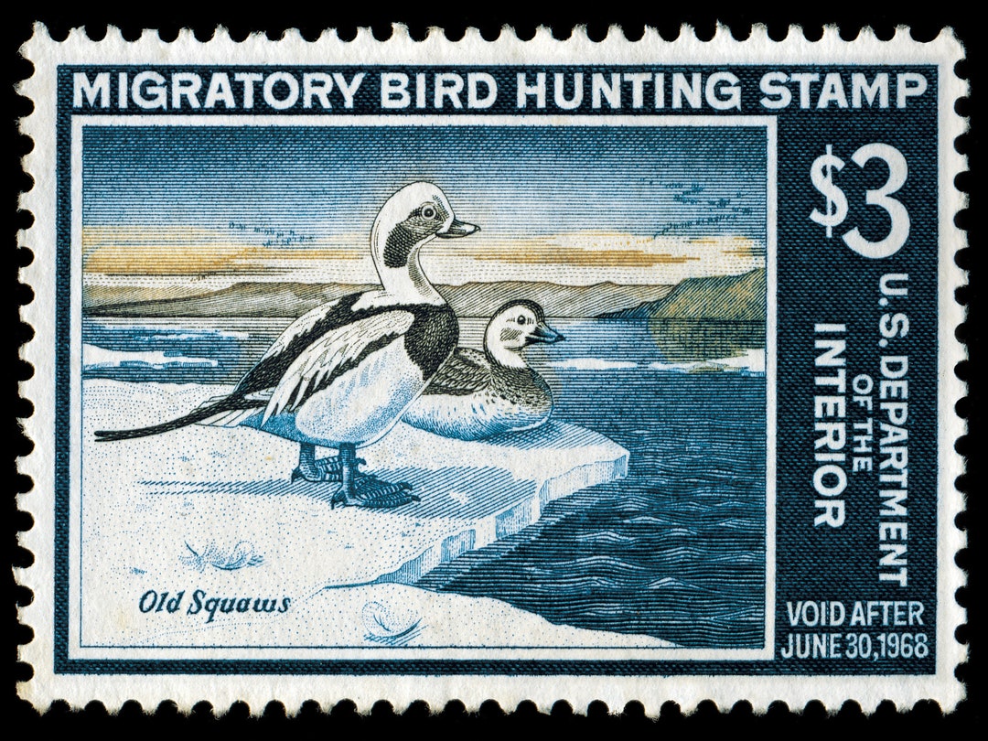 1967 1968 Duck Stamp Metal Sign - Etsy
