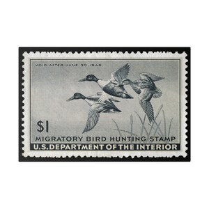 Official 1945 1946 Federal Duck Stamp Canvas Sign - Etsy