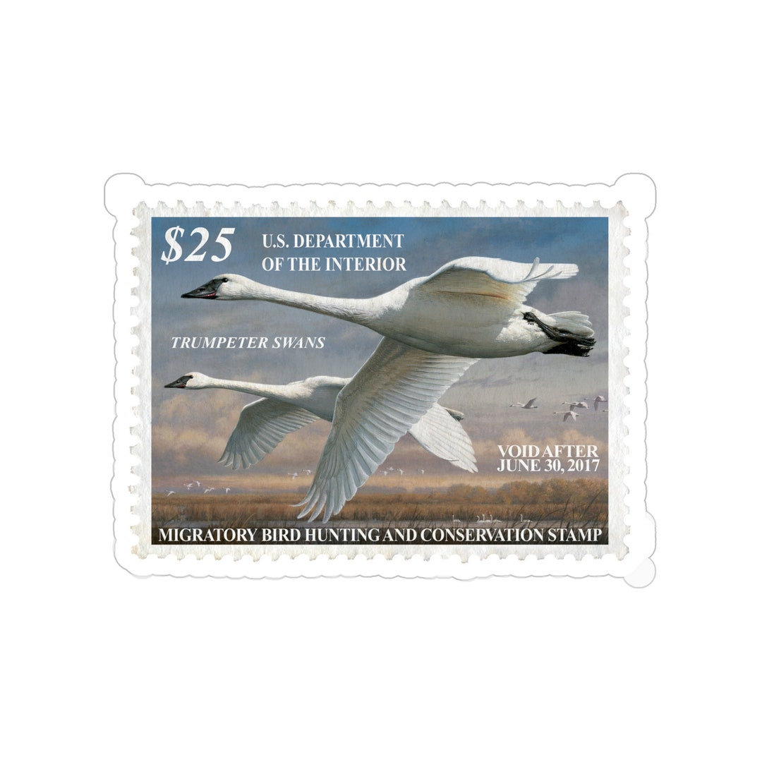Official 2016-2017 Federal Duck Stamp Sticker Duck Hunting Stickers - Etsy