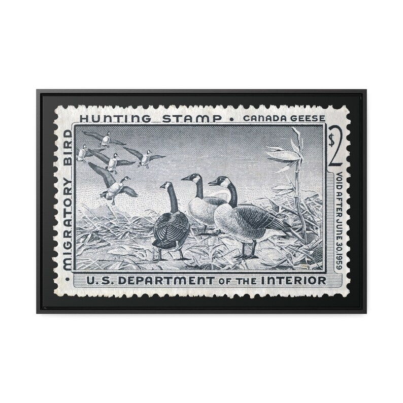 Official 1958 1959 Federal Duck Stamp Canvas Sign - Etsy