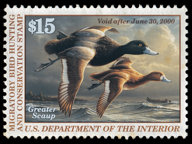 1999 - 2000 Duck Stamp - Metal Sign - Etsy